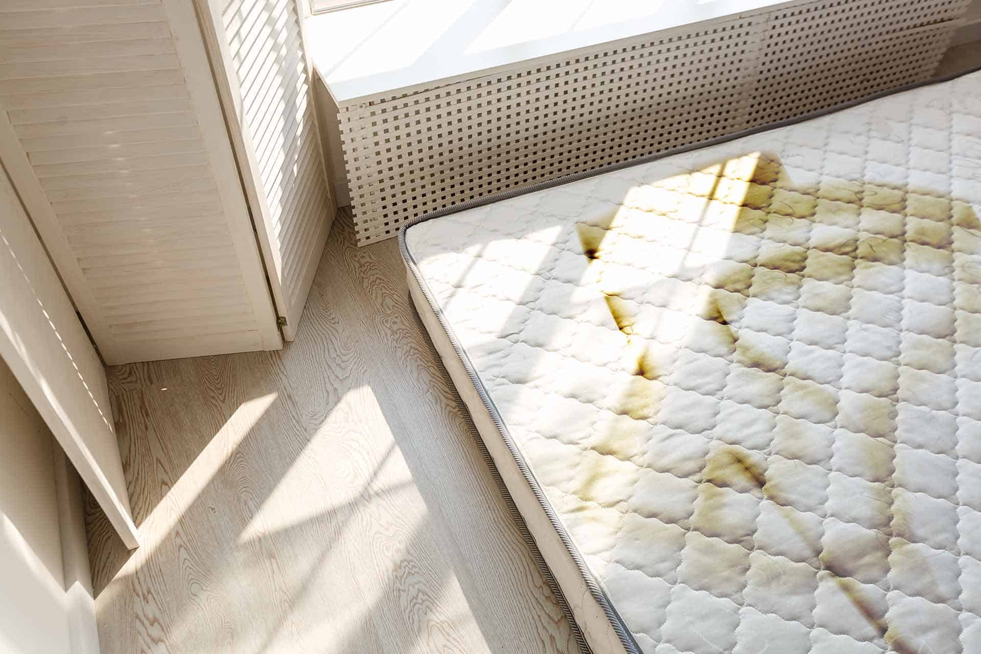 Matelas Trop Mou Symptmes